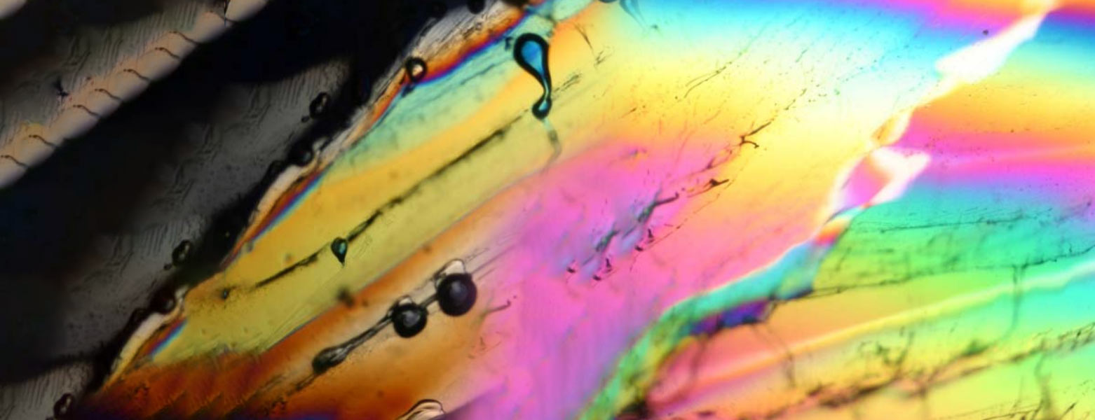 Quantal Fractal Images